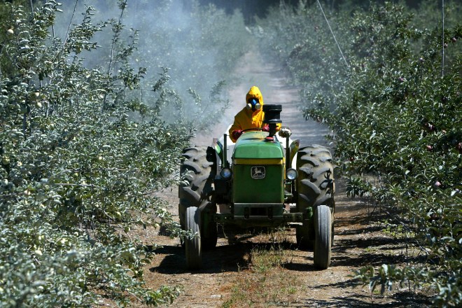 Las claves para hacer más eficiente y menos nociva la aplicación de ...