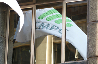 El Mercurio.com - Inversiones - cmpc se desploma tras nueva extension ...