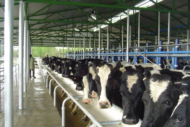 Las claves para tener una lechería sustentable | El Mercurio Campo