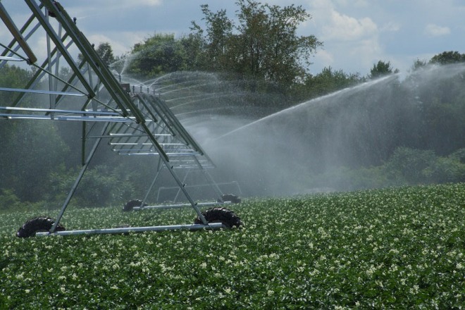 Los cambios que vienen para la nueva Ley de Riego | El Mercurio Campo