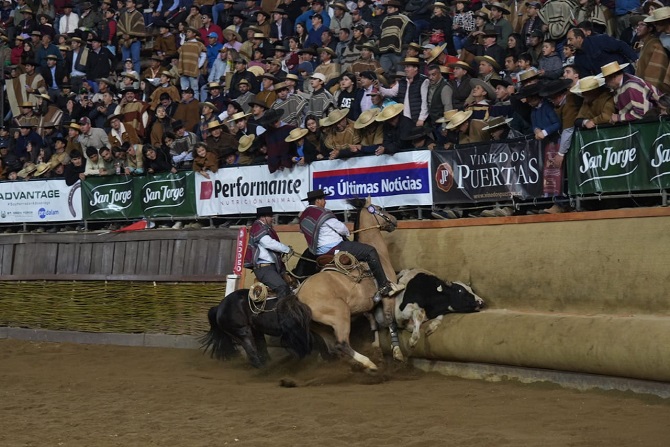 El Champion de Chile toca a la puerta: los favoritos y las actividades ...
